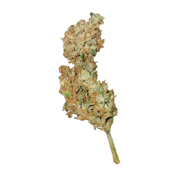 Royal Creamatic – Auto Flowering Seed – Betchur Farms